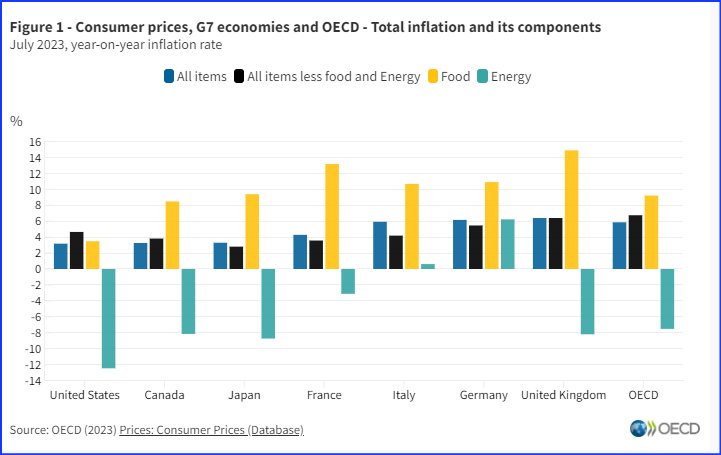 OECD Reports Year-on-Year Inflation at 5.9% in July 2023 – Global ...